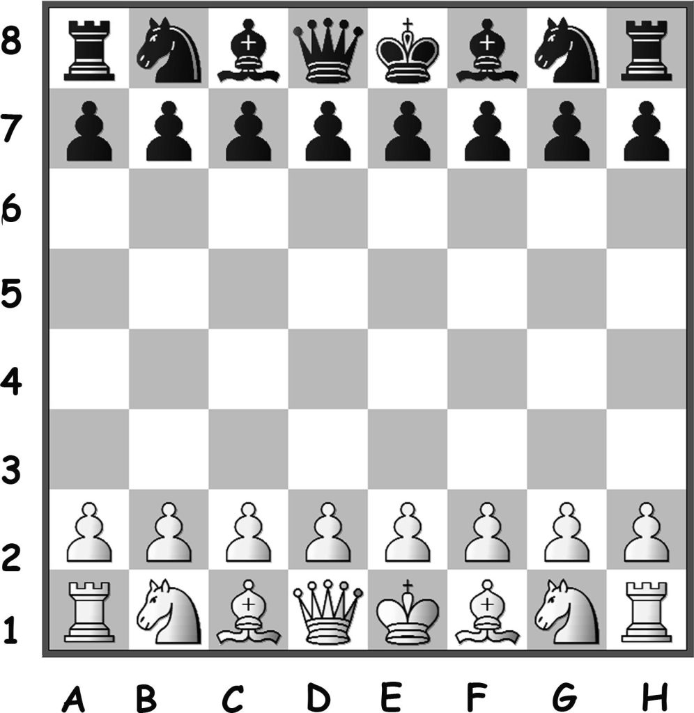 SAKKSZABÁLYOK – SAKKPALOTA