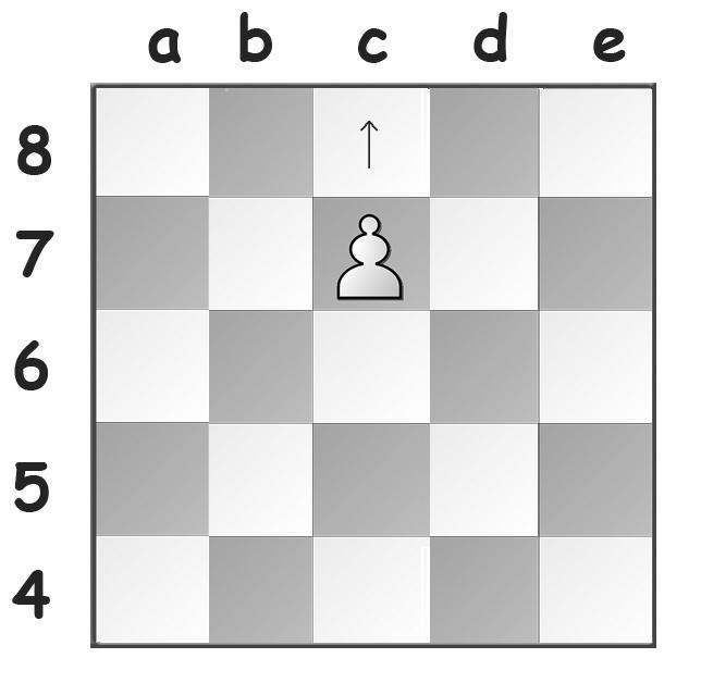 SAKKSZABÁLYOK – SAKKPALOTA